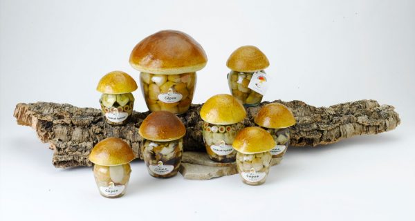 The fascinating and mysterious world of mushrooms - La Boutique du ...